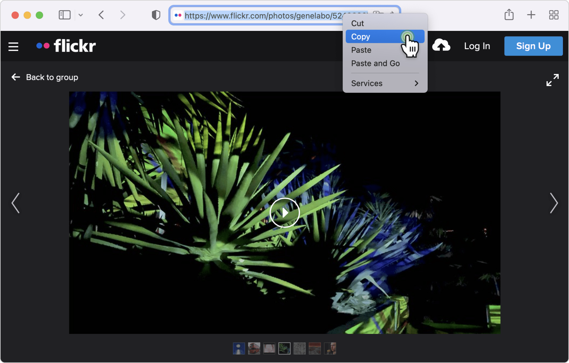 Come scaricare un video di Flickr | 4K Download