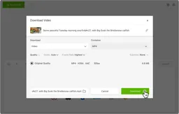 How to Download a Tumblr Video | 4K Download